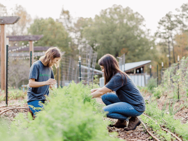 About — Green & Growing Education