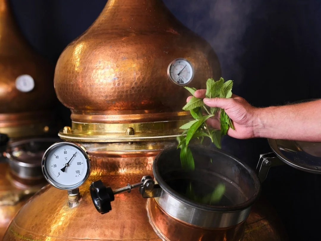 Lantic Gin | Wild-Foraged Artisan Gin From Cornwall