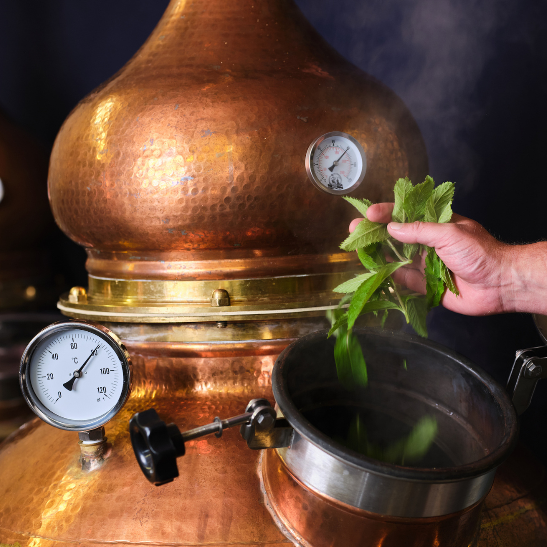 Lantic Gin Blog | Discover Recipes, Tips, and Sustainable Practices ...