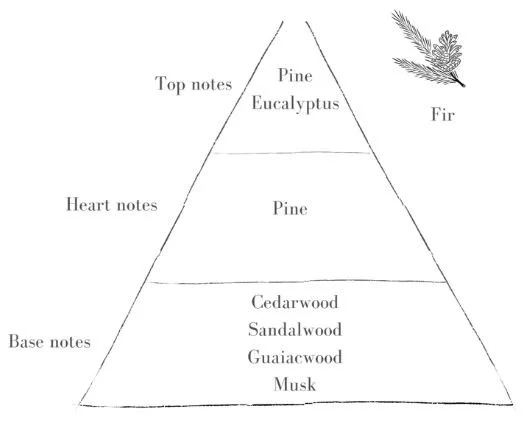 POTT RUBY GRAND CANDLE POT — Peacock & May