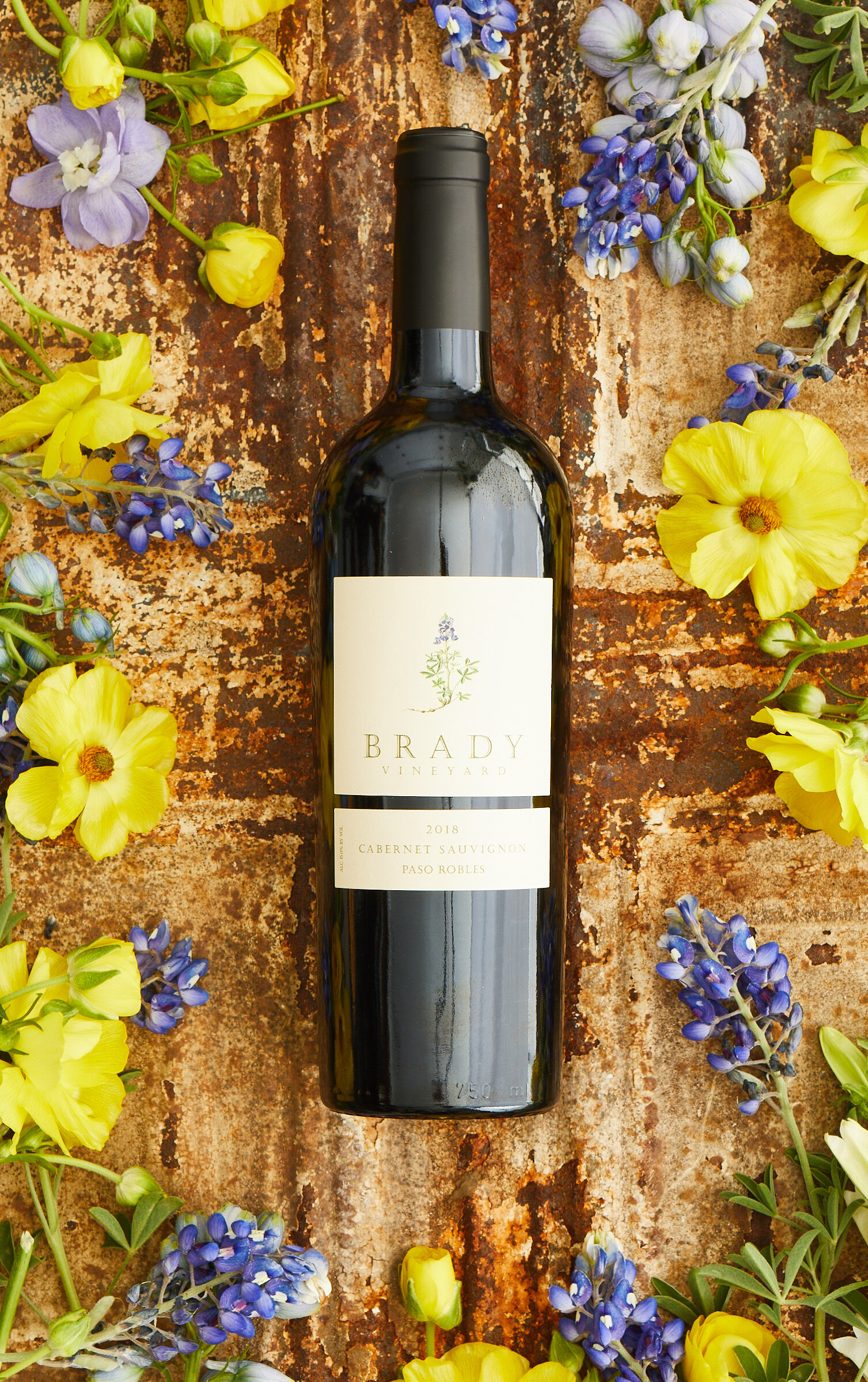 Cabernet Sauvignon — Brady Vineyard