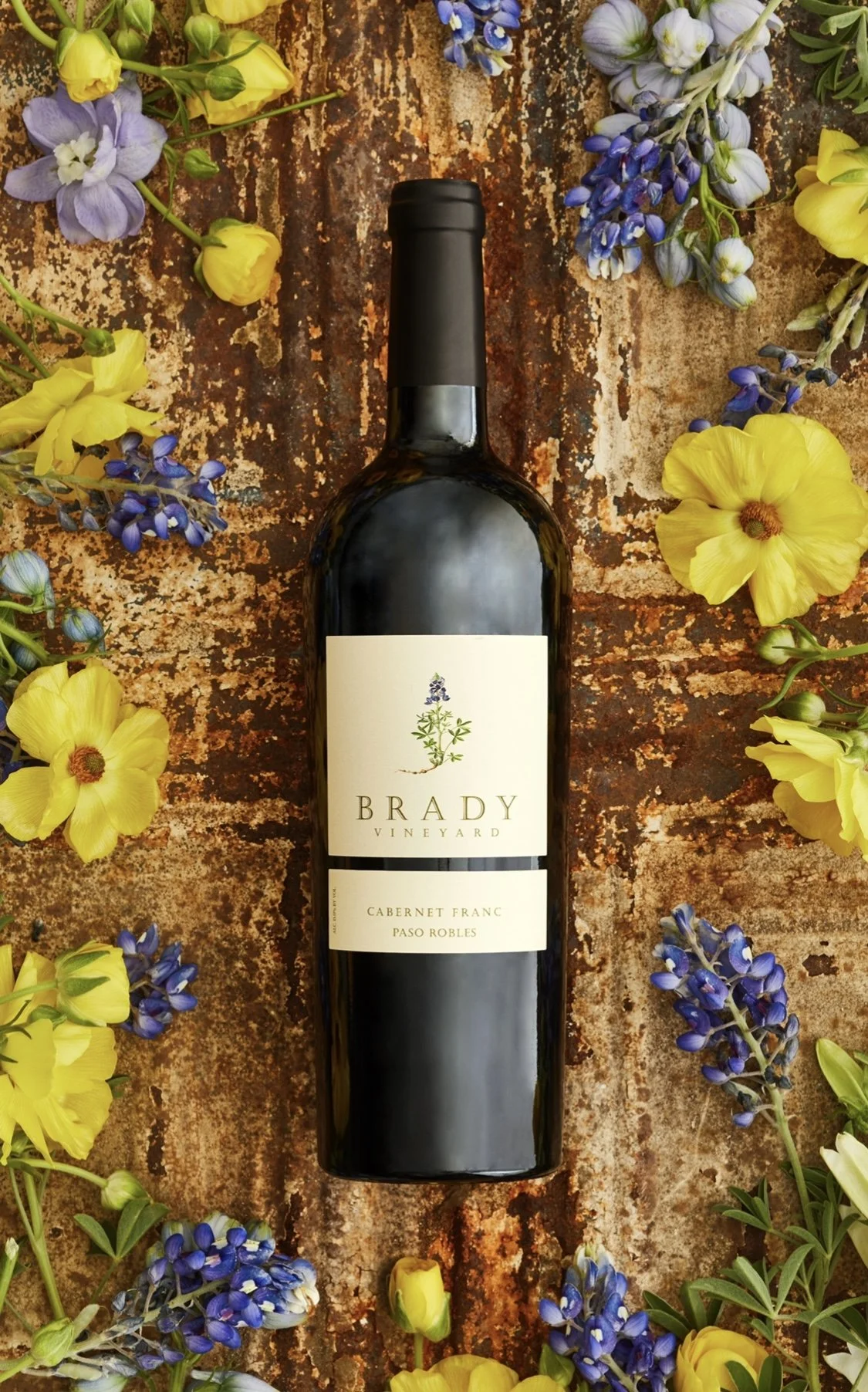 Brady Vineyard | Explore Premium Wines – Shop Now