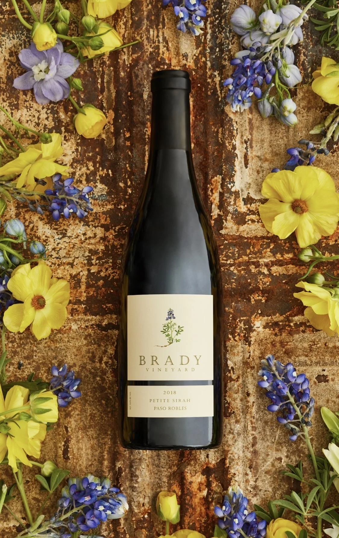 Brady Vineyard