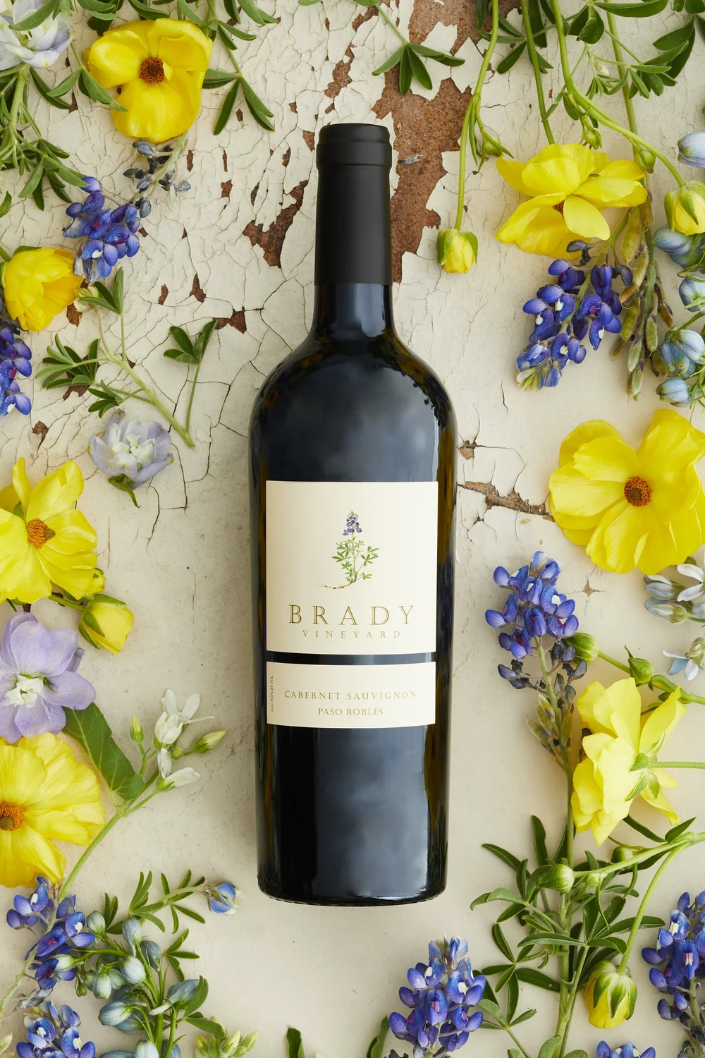 Brady Vineyard | Explore Premium Wines – Shop Now
