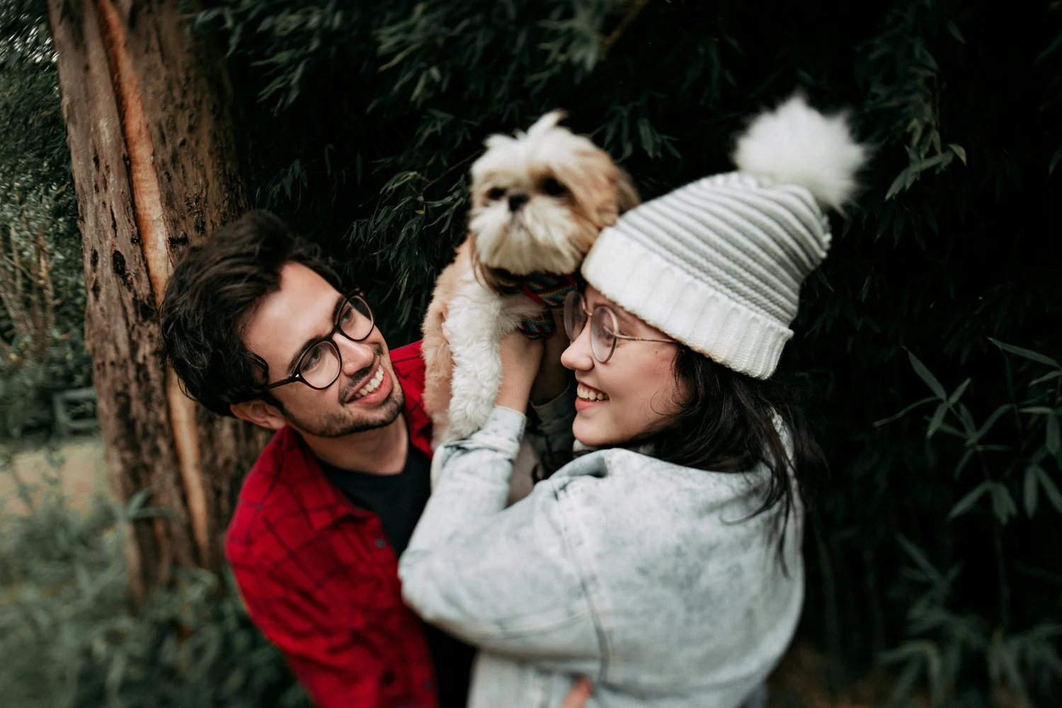 Pure in-Home Pet Sitting Services: Overnight Care, Dog Walking & Check-ins