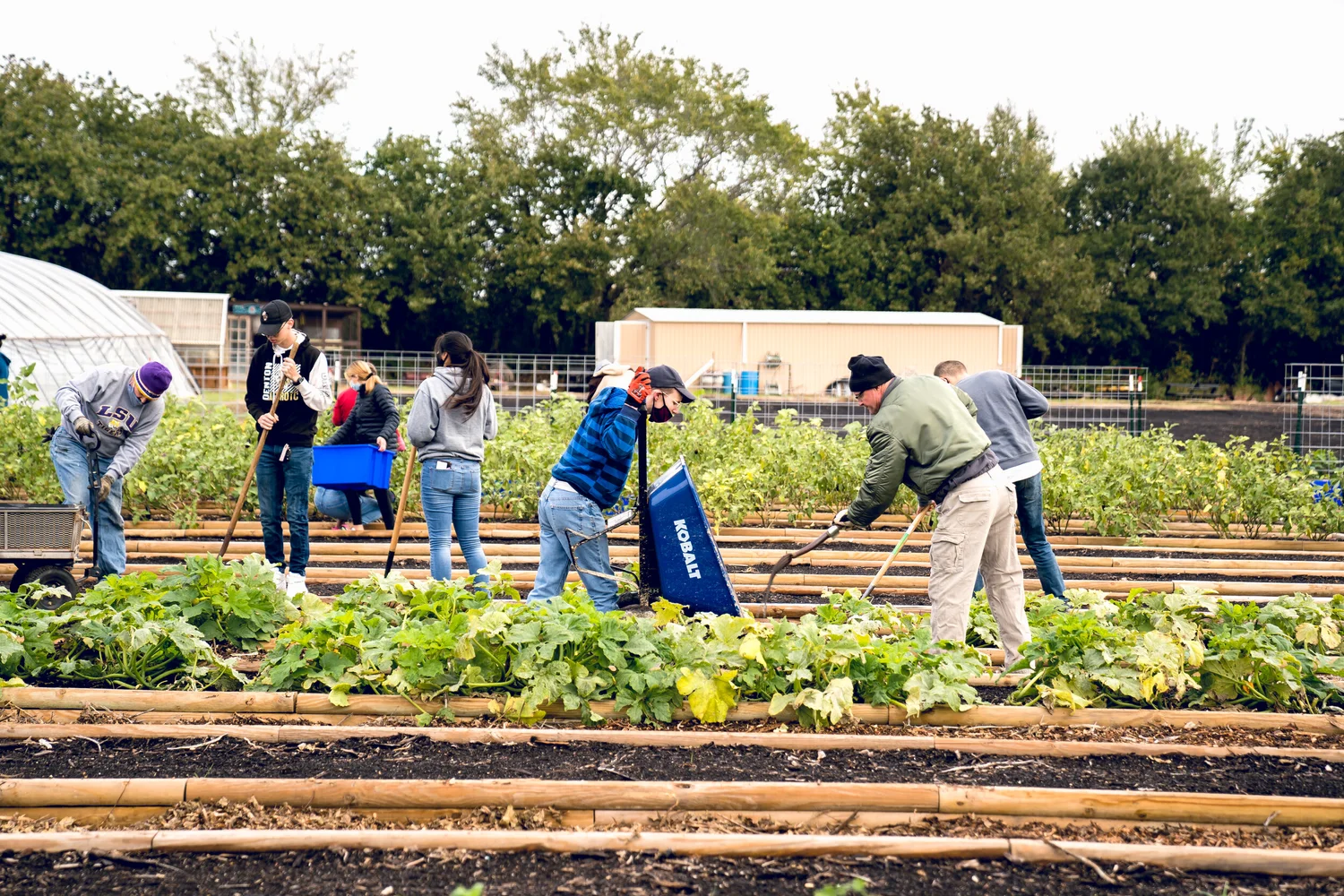 Volunteer — Shiloh Field