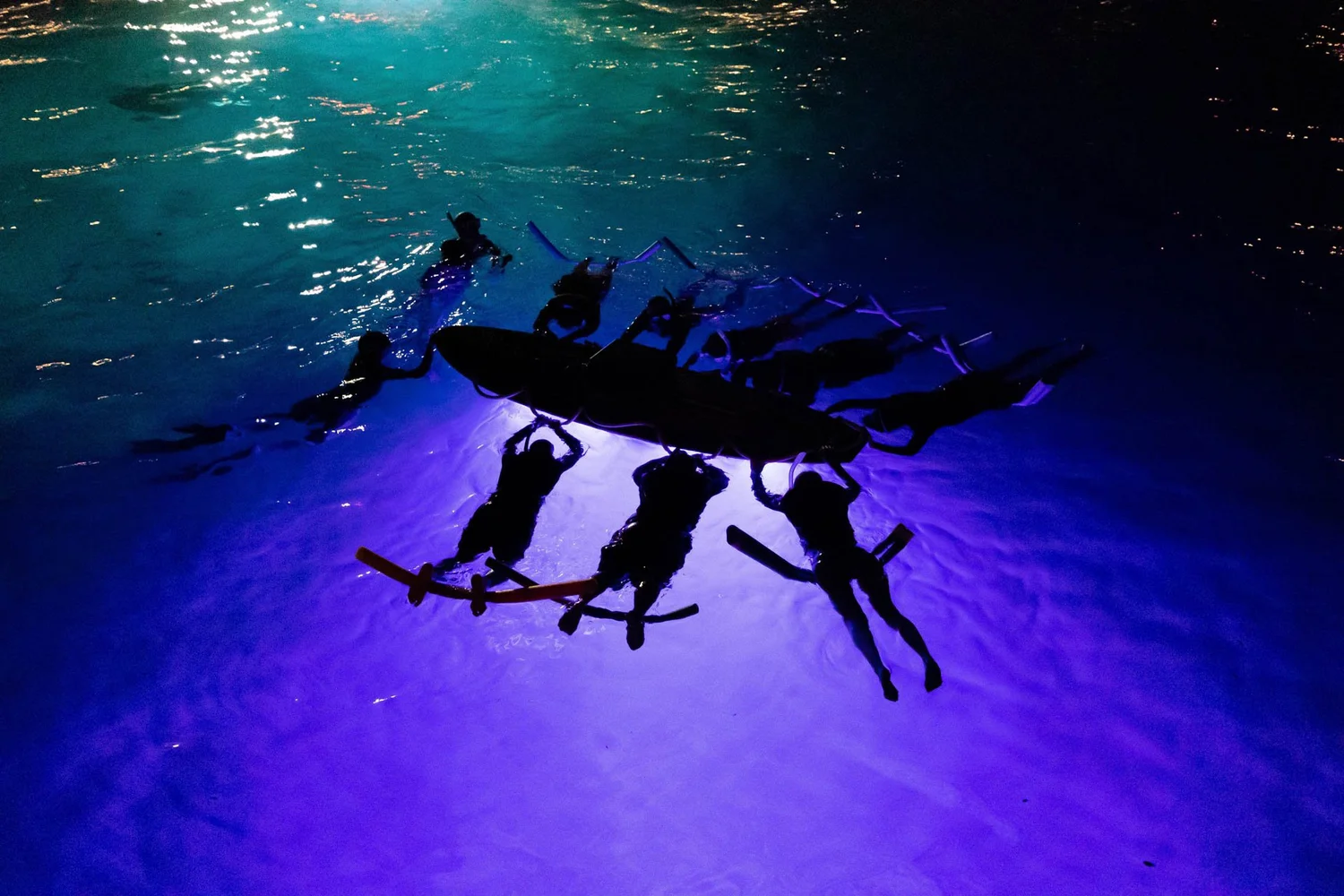 Big Island Night Manta Tours Departing Out Of Kona