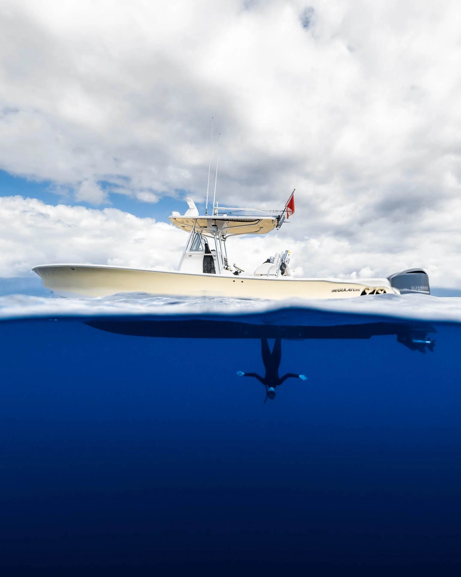 Small Group Kona Whale Watch, Night Manta, and Snorkeling Tours