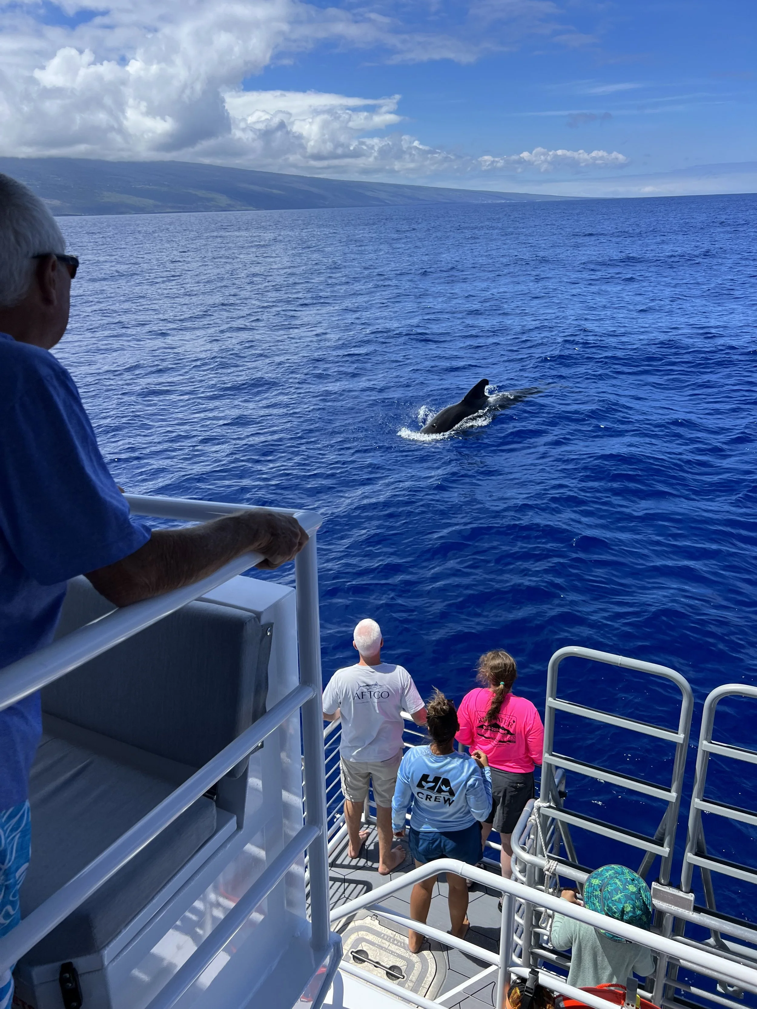 Kama'aina Membership | Hawaiian Adventures Kona