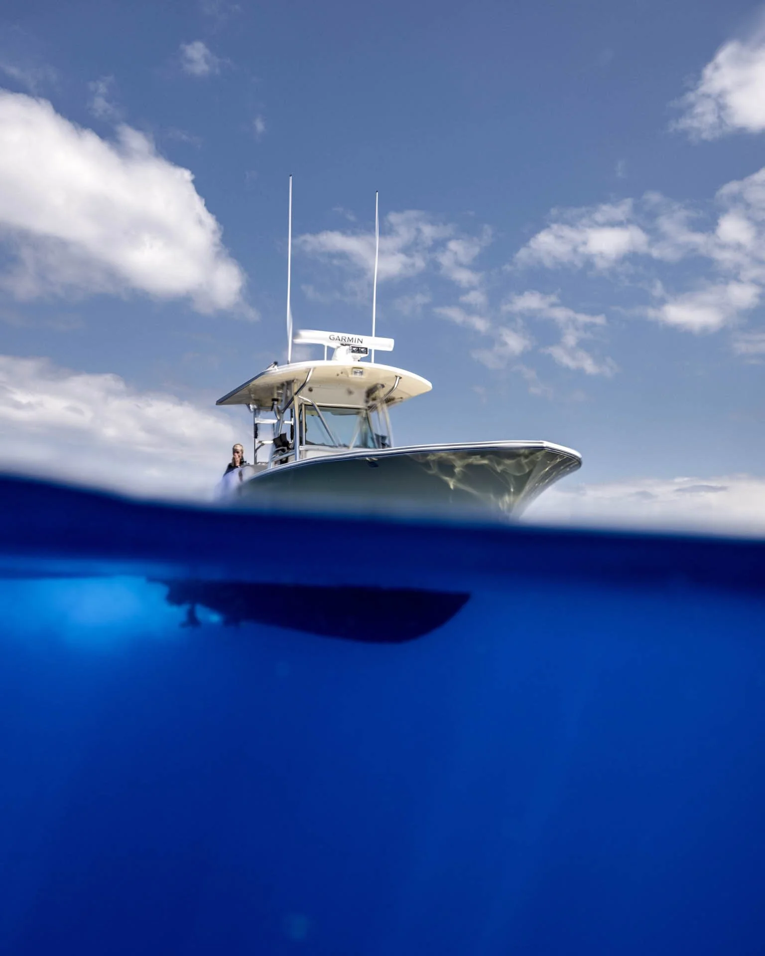 Small Group Kona Whale Watch, Night Manta, and Snorkeling Tours