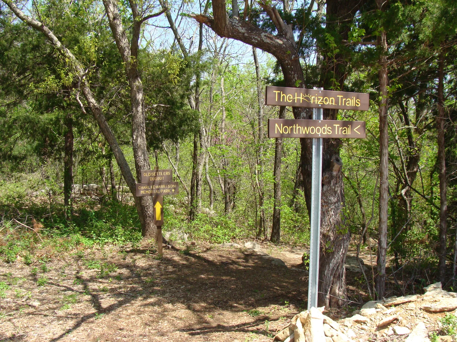 Activities — Camp Horizon
