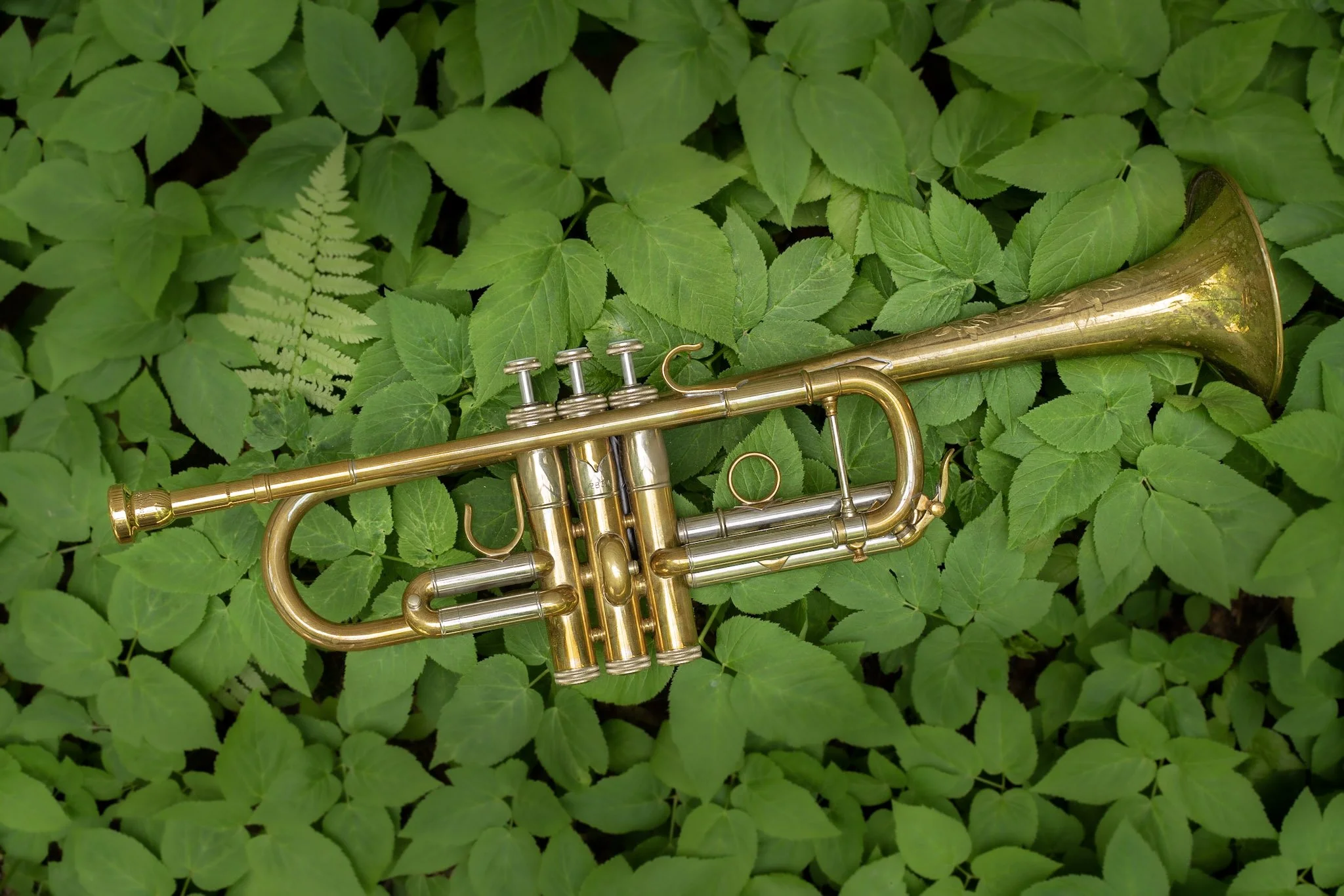Leadpipe Drills — Steven Emery, trumpet