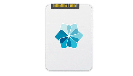 Forms & data capture — Showcase Workshop