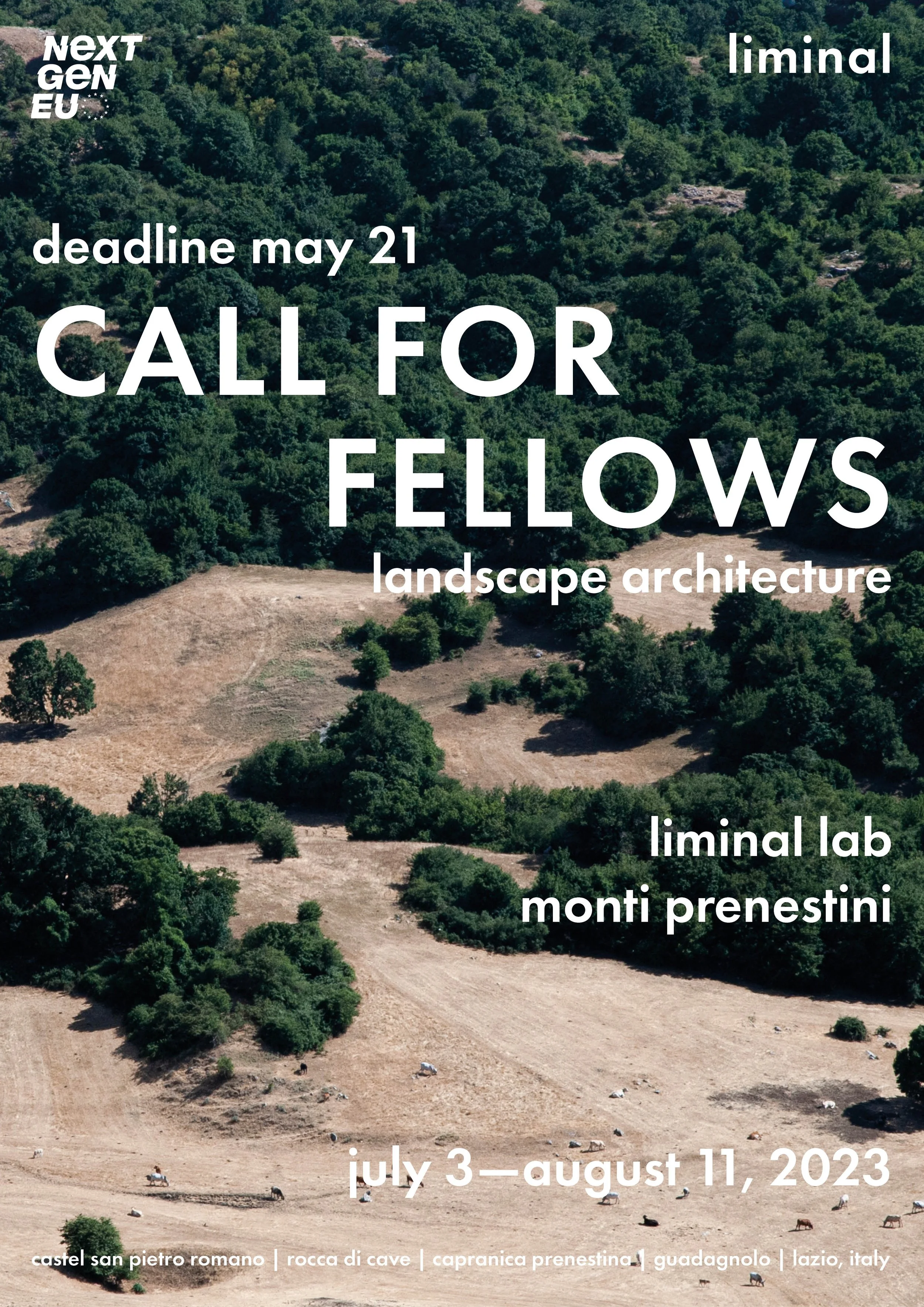 Introducing Liminal Fellowships — liminal