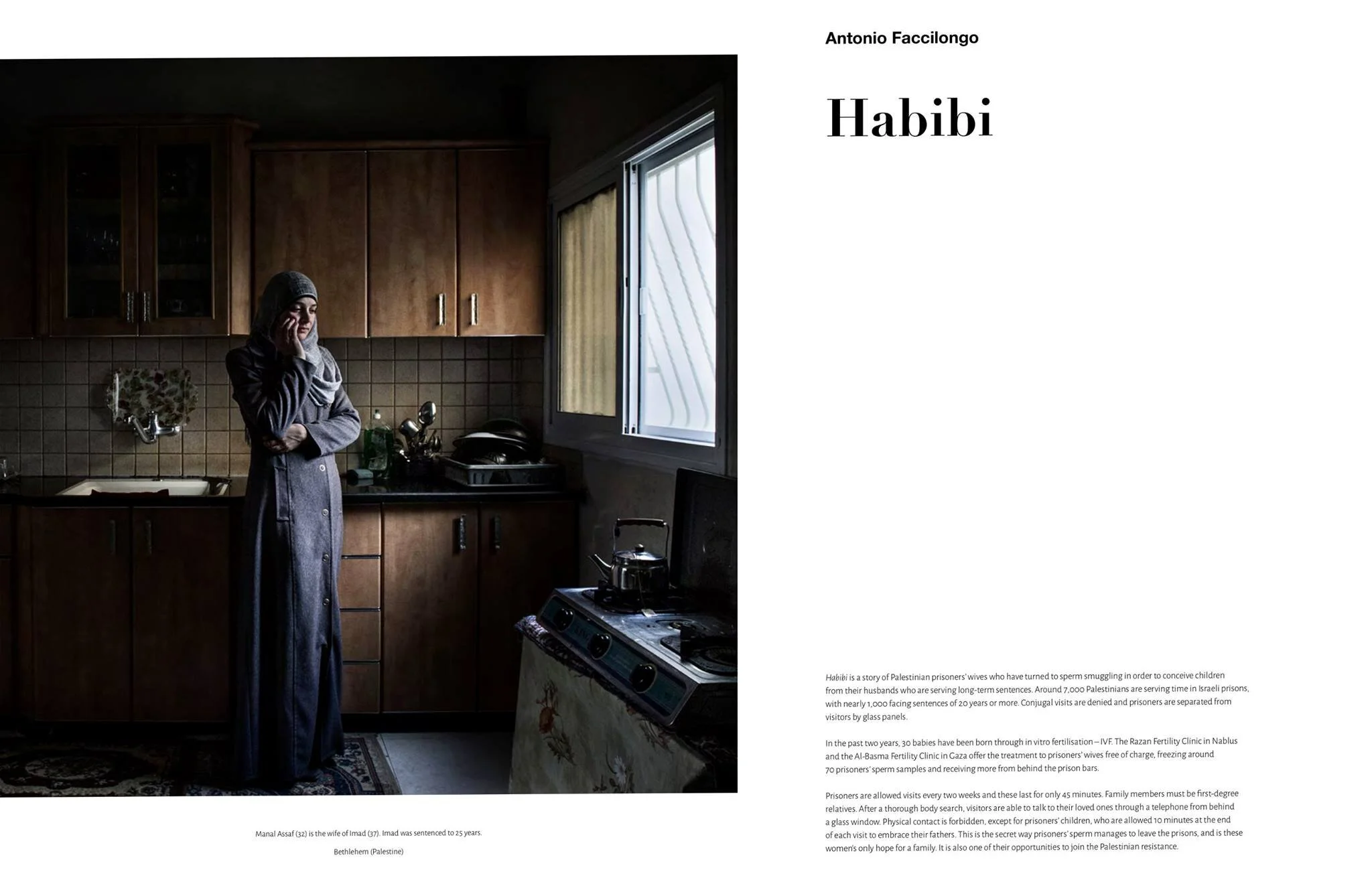 HABIBI — ANTONIO FACCILONGO