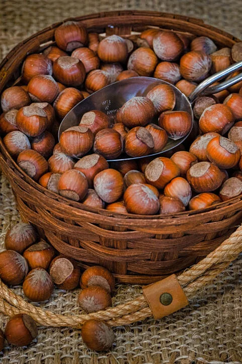 Hazelnut Growers Bargaining Assoc.