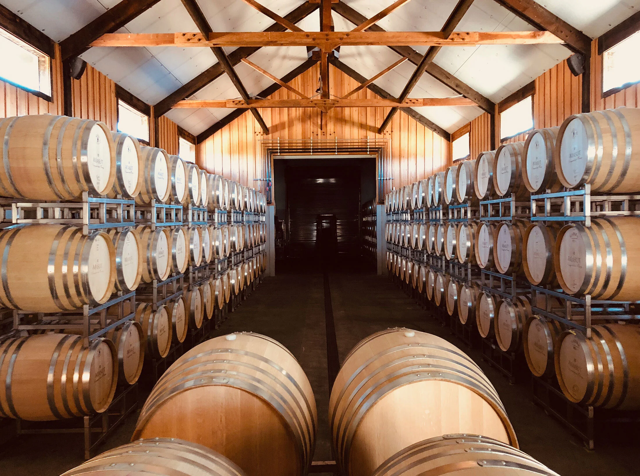 Masút Vineyard and Winery - A Passion for Pinot Noir