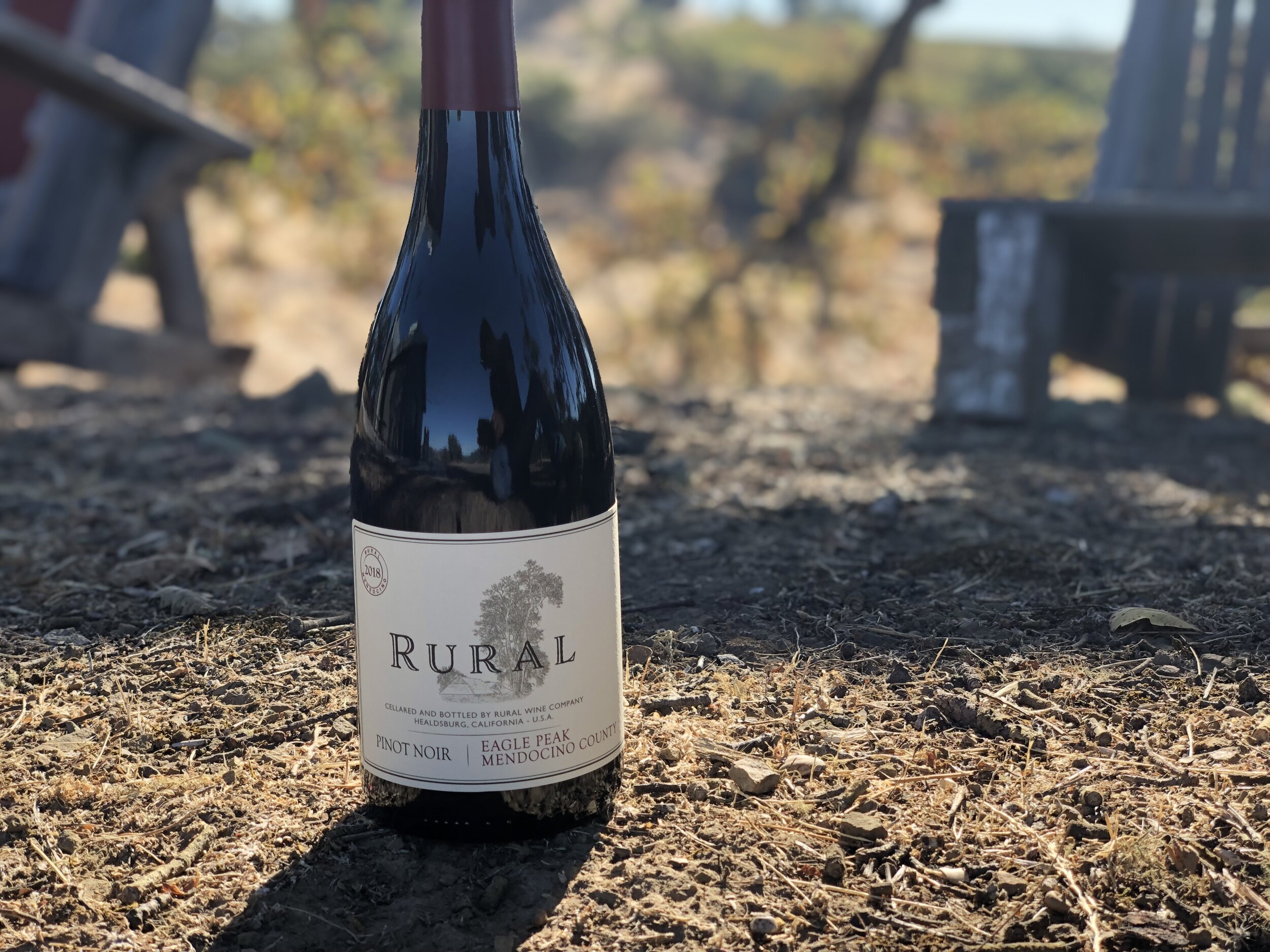 Rural Wine Company — Masút Vineyard and Winery