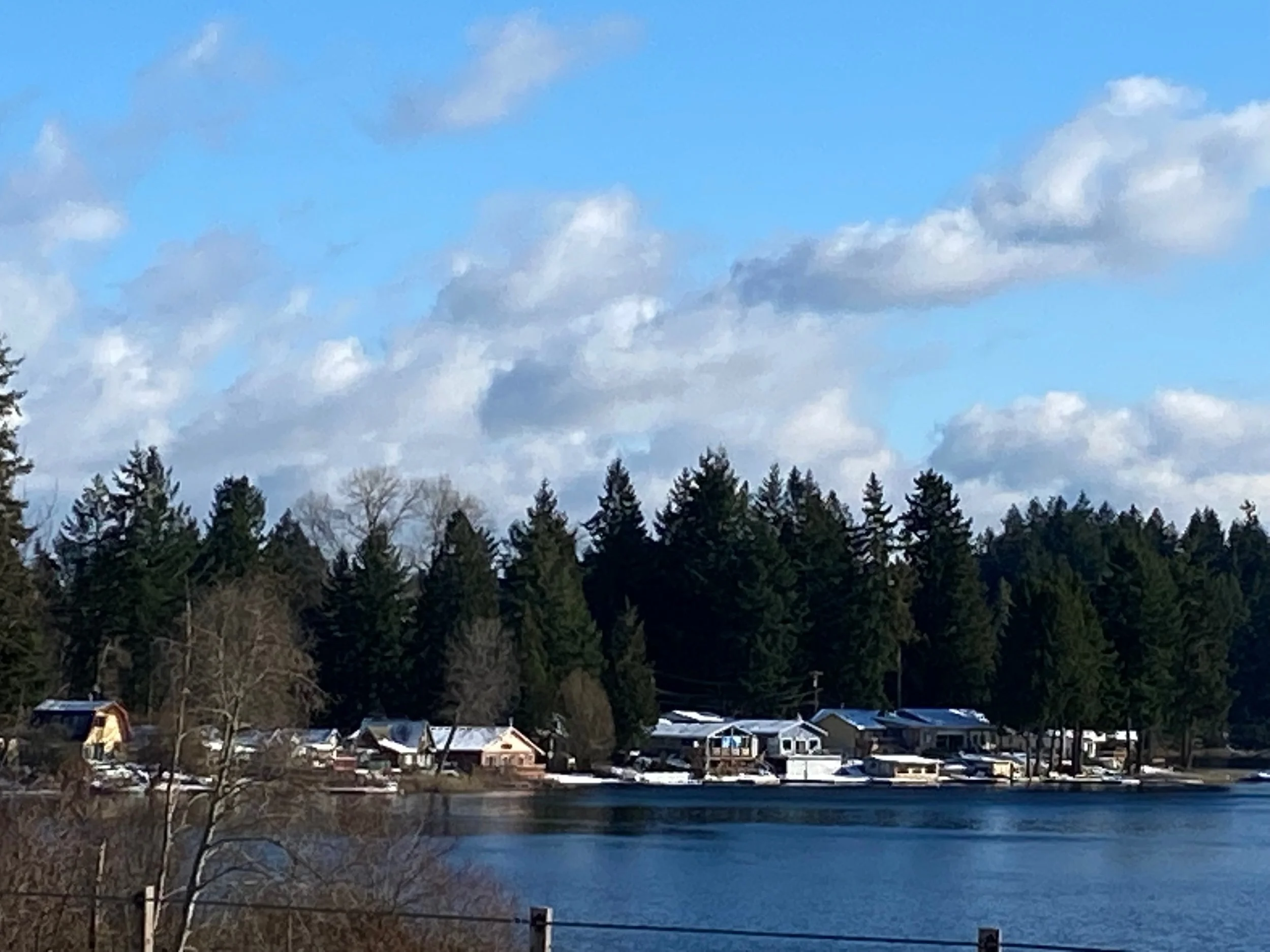 Pattison Lake Association