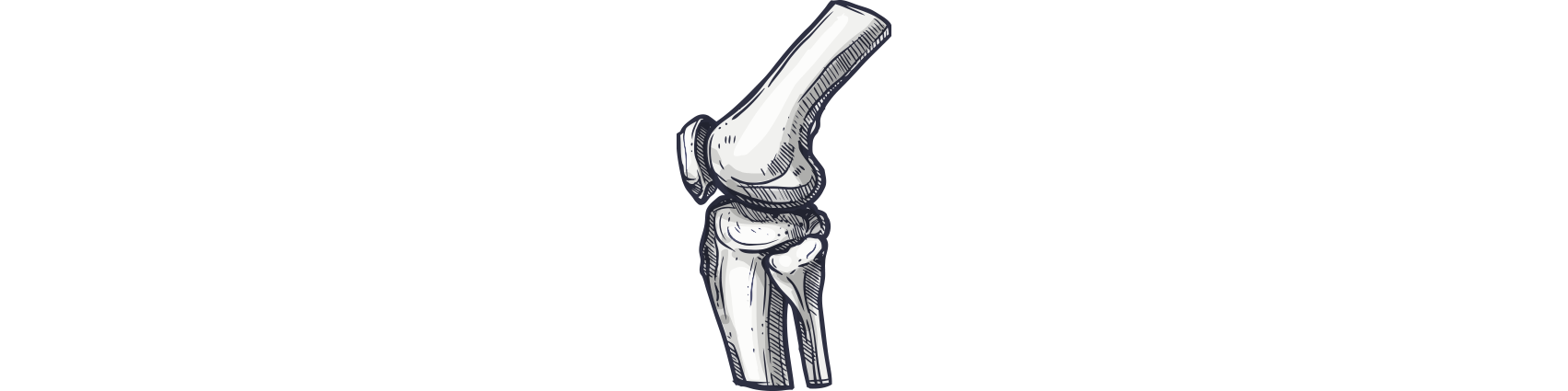 Orthopaedic Knee Surgeon Melbourne | Mr Lachlan Batty