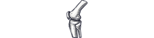 Orthopaedic Knee Surgeon Melbourne | Mr Lachlan Batty