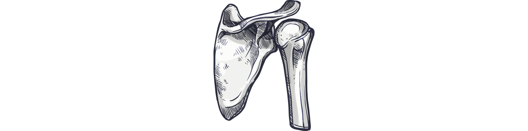 Orthopaedic Knee Surgeon Melbourne | Mr Lachlan Batty