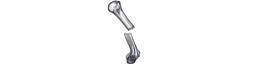 Orthopaedic Knee Surgeon Melbourne | Mr Lachlan Batty