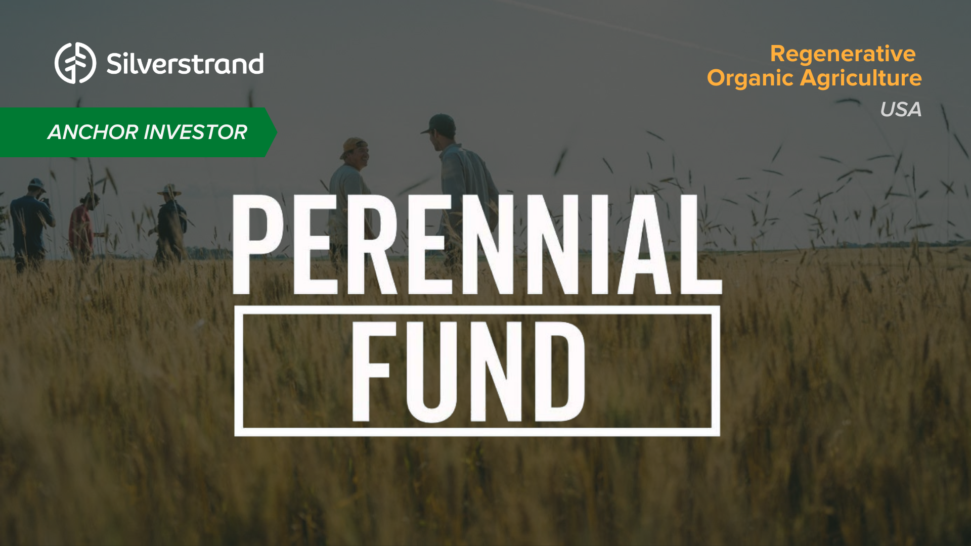 Our Investment Portfolio — Silverstrand Capital