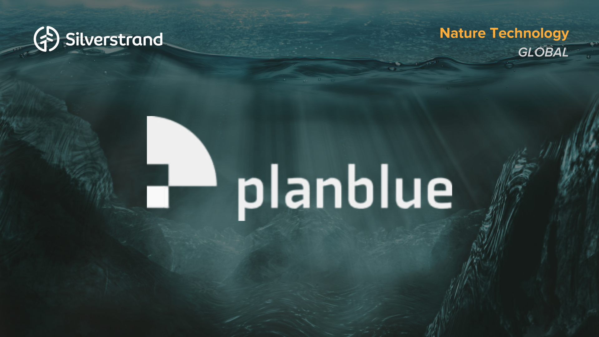 Our Investment Portfolio — Silverstrand Capital