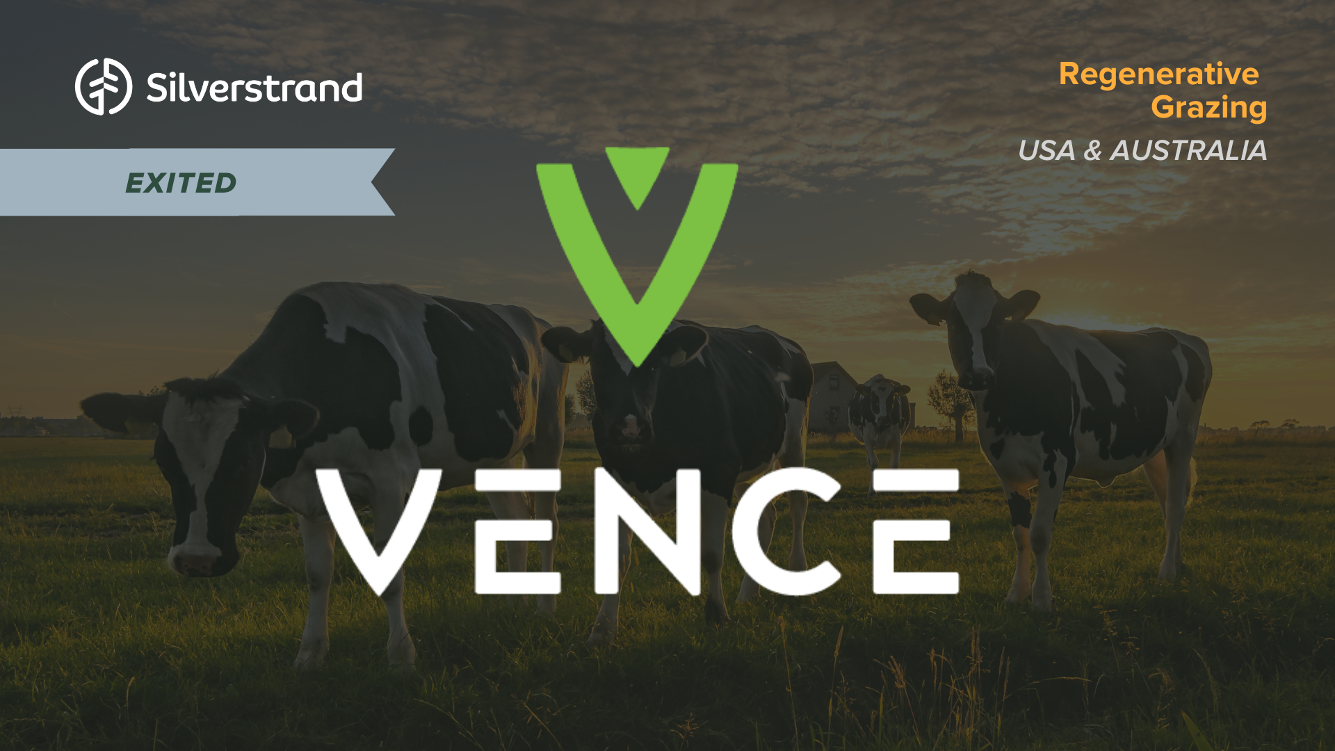 Our Investment Portfolio — Silverstrand Capital