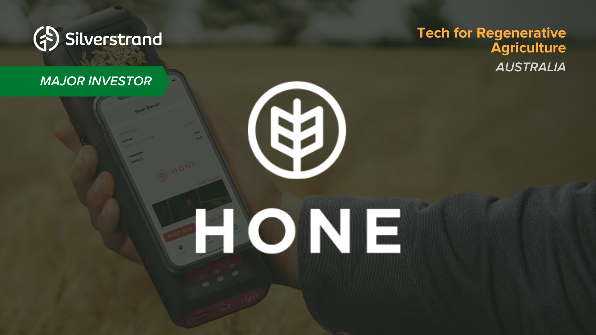 Our Investment Portfolio — Silverstrand Capital