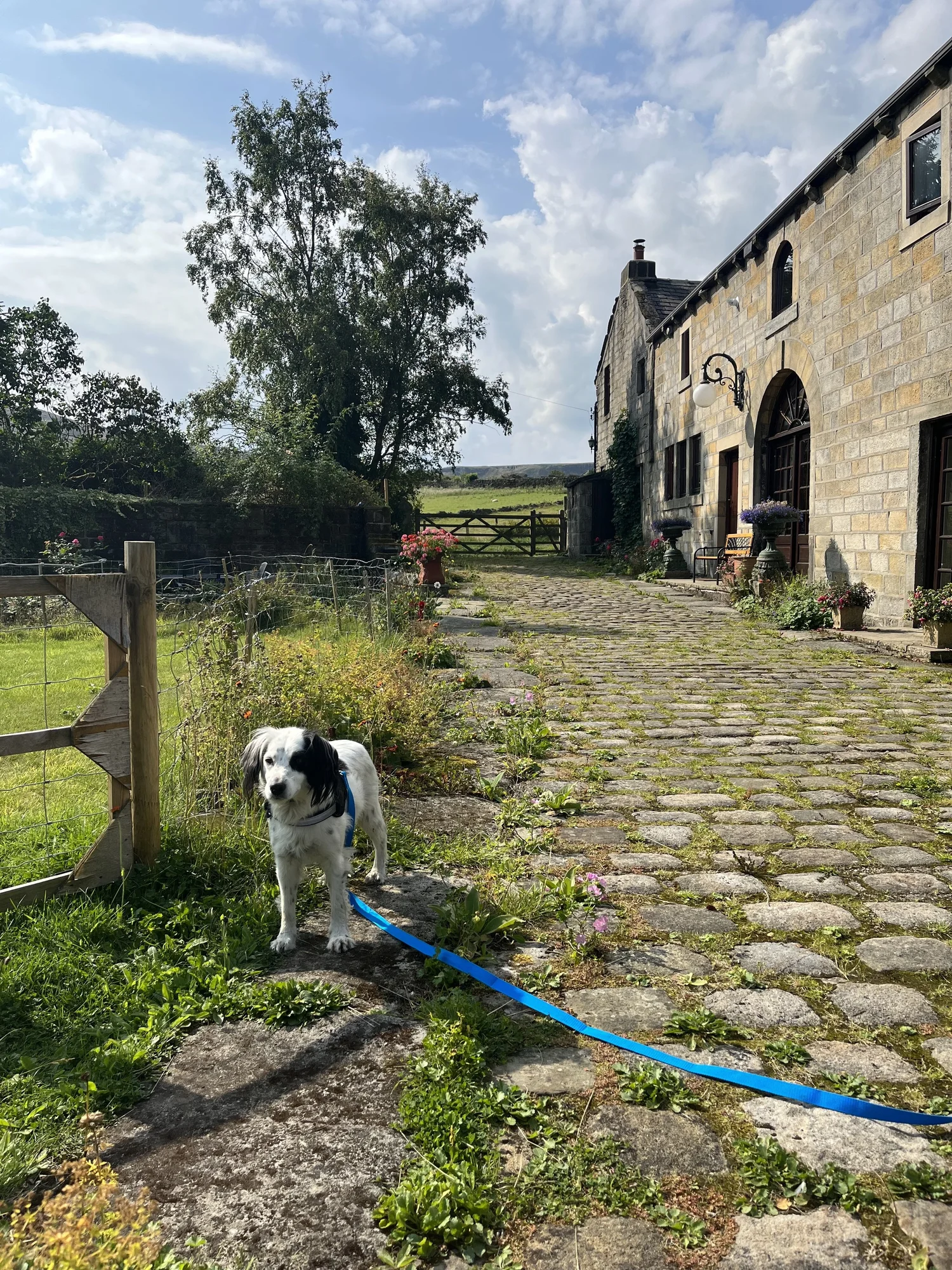 About 5 — Cross Farm Retreat