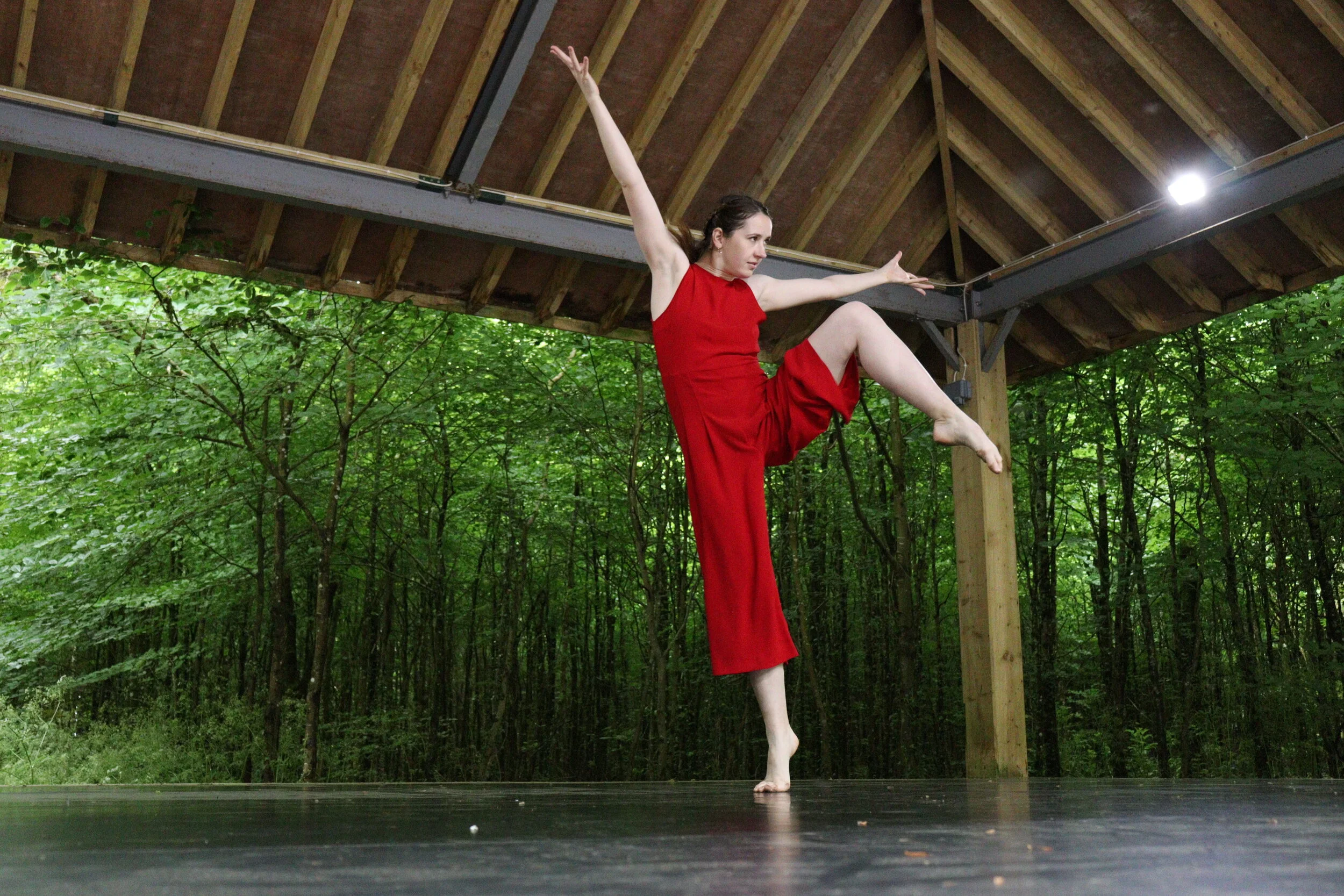 Roisin Whelan Dance Company — STROLLERS NETWORK - Strollers Network