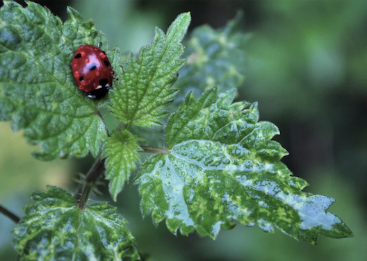 PTSD Memory Loss: 10 Ways it's Affecting You - April Lyons ...