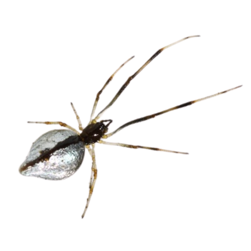 Reviews 1 — Calliope Stage