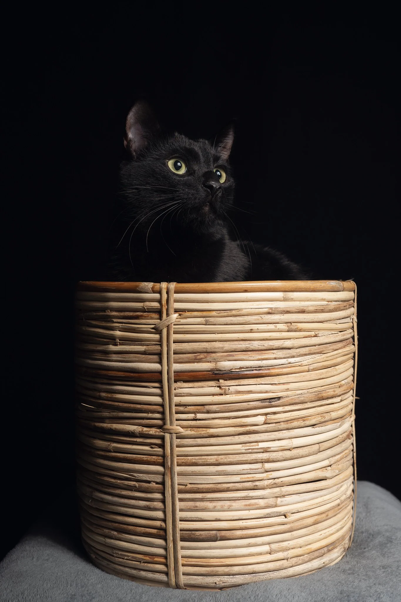 Photovlog.fr | Photographe Grand Est