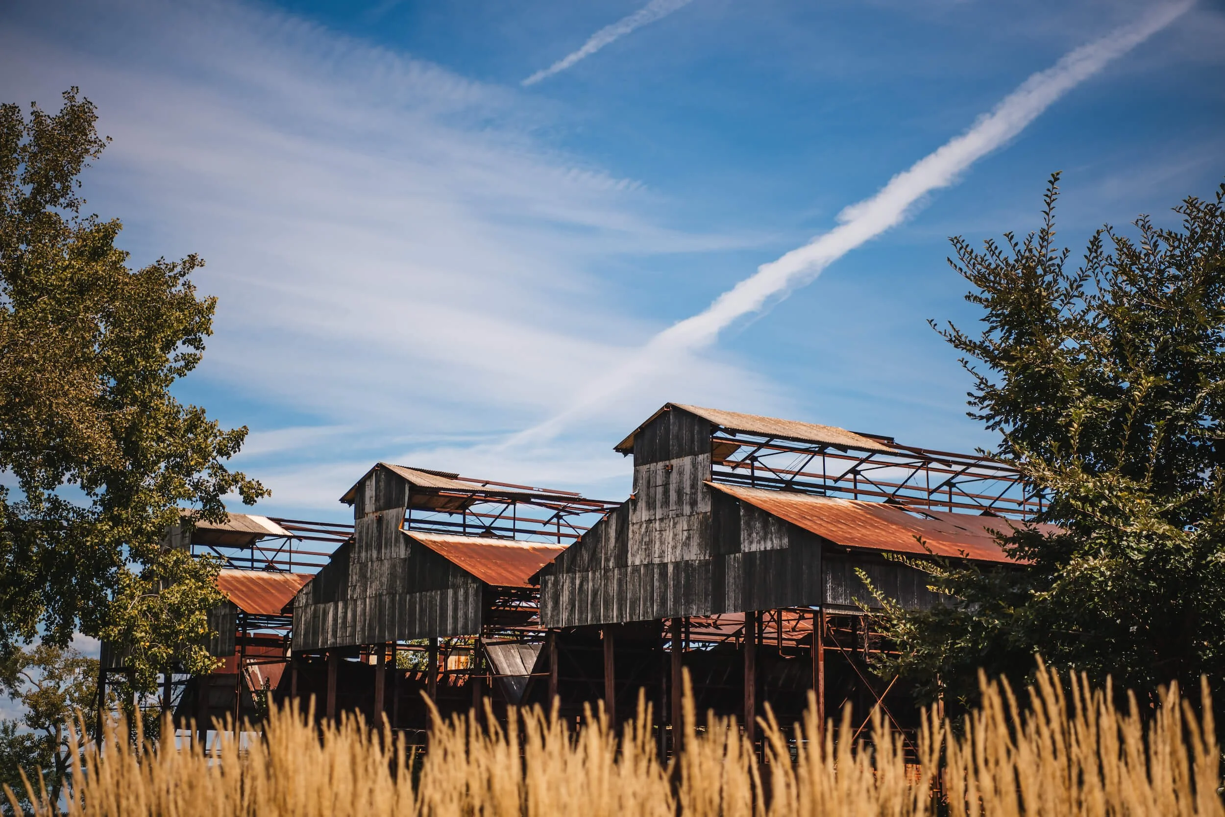 Weddings | Picture-Perfect Moments in a Riverside Venue — Hutton Brickyards