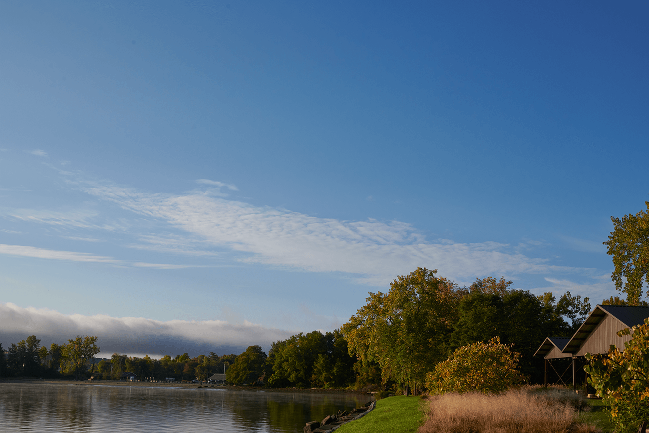 Gallery | Showcasing the beauty of Hutton Brickyards — Hutton Brickyards