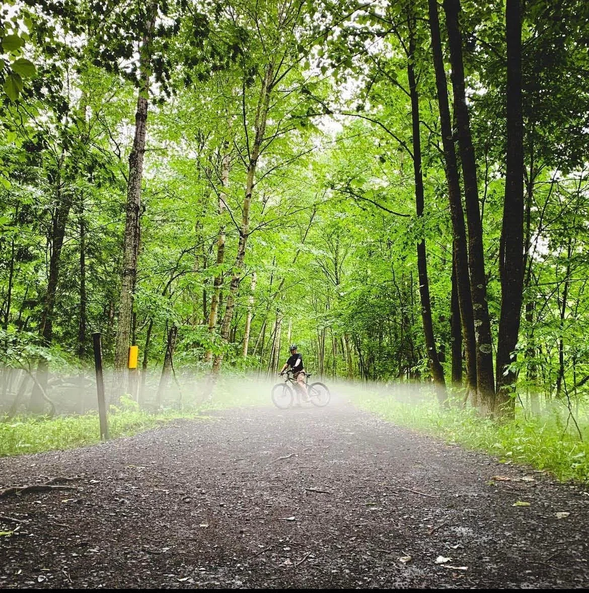 Hikes & Trails | Hotels Near Empire State Trail | Hutton