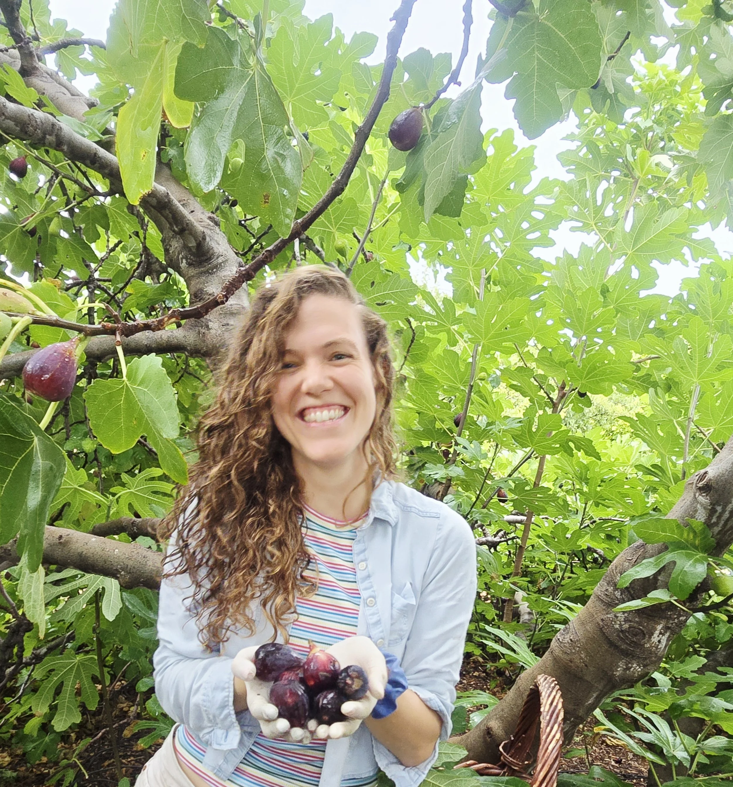 Carmen Smith-Estrada — Mission Garden
