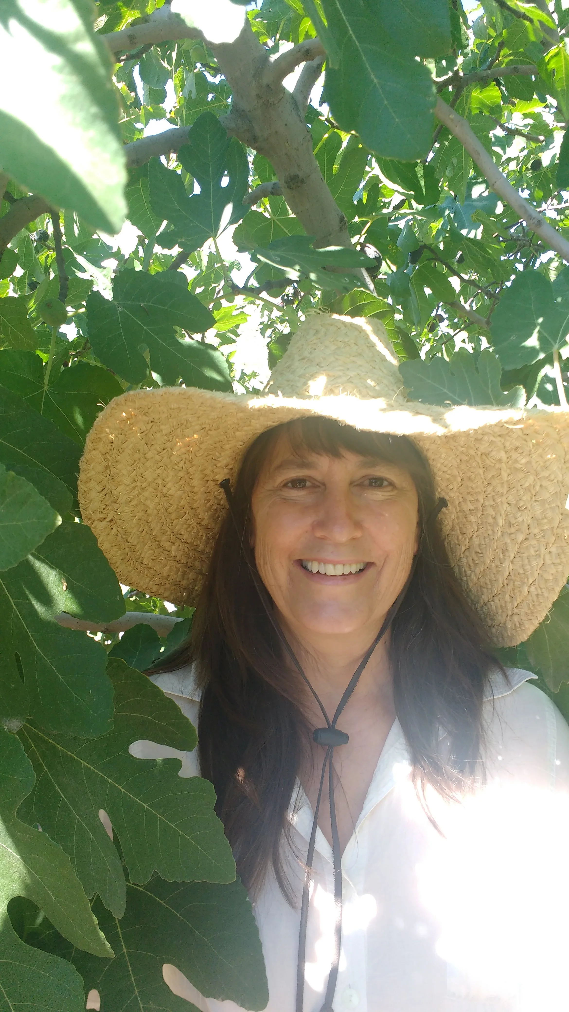 Dena Cowan — Mission Garden