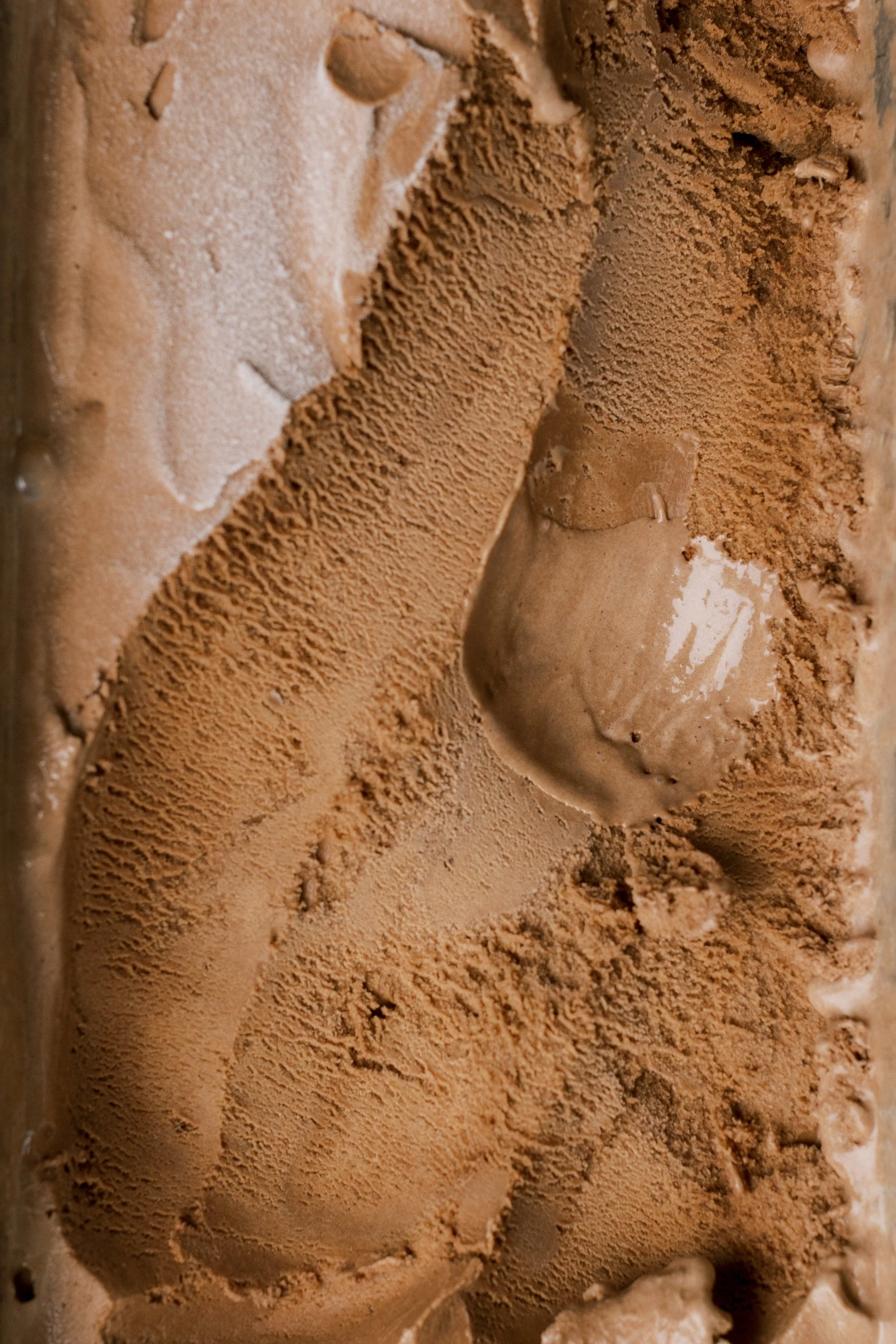 Raw Chocolate Ice Cream — Coco et Sel