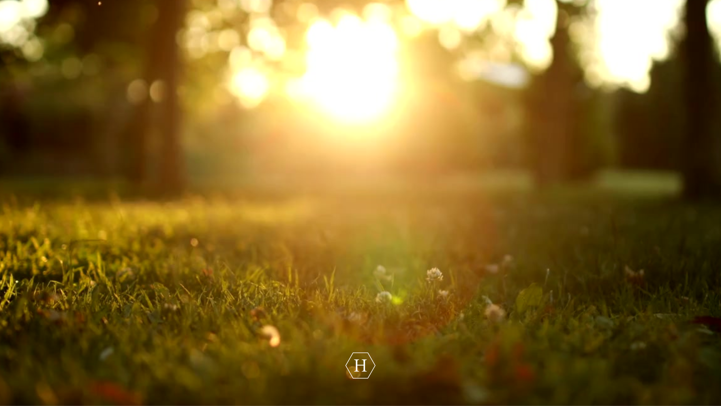 3 Year Vision Opt In — The Hivery Community, Mentorship, and ...