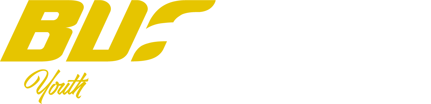 Partner with BUF — Black United Fund of Michigan (BUF of MI)