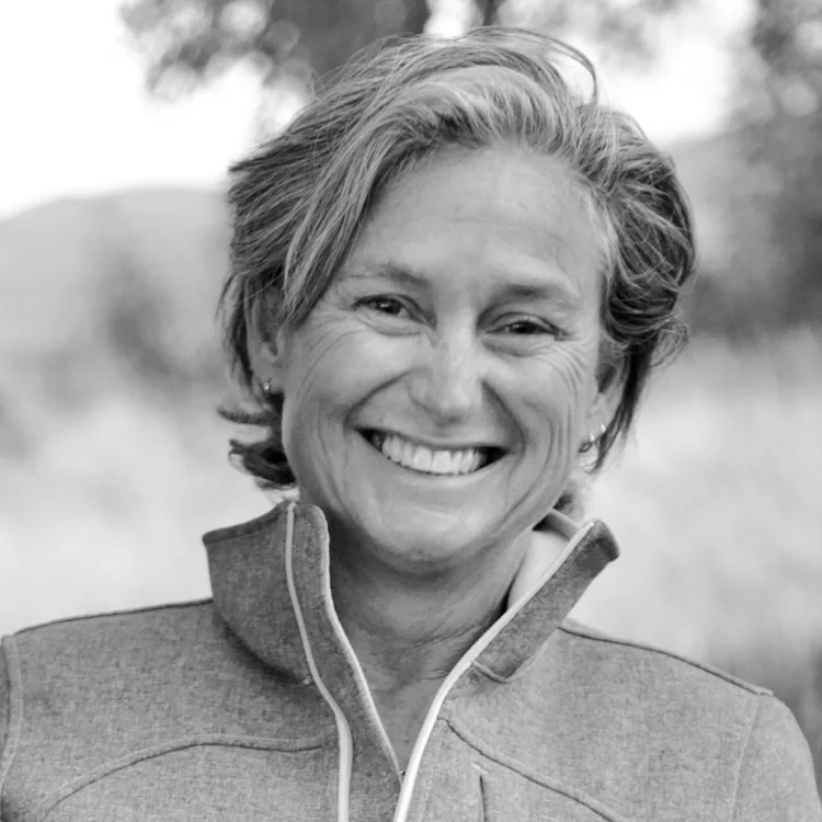 Laura Lichter, Founder — Lichter Immigration