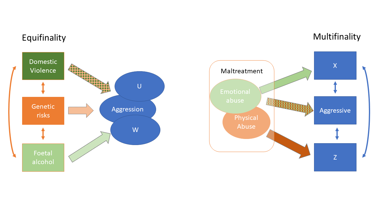 Equifinality & Multifinality - Many into one and one into many — Matt ...