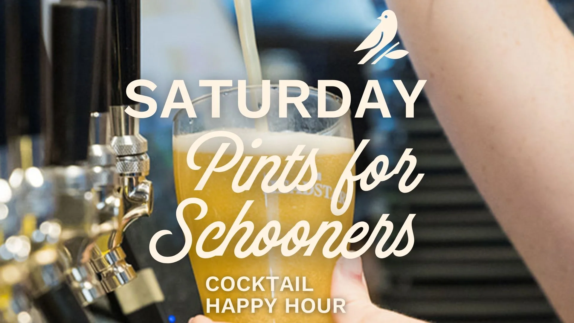 Pub & Bistro in The Hunter Valley - Bellbird Hotel - Est. 1914