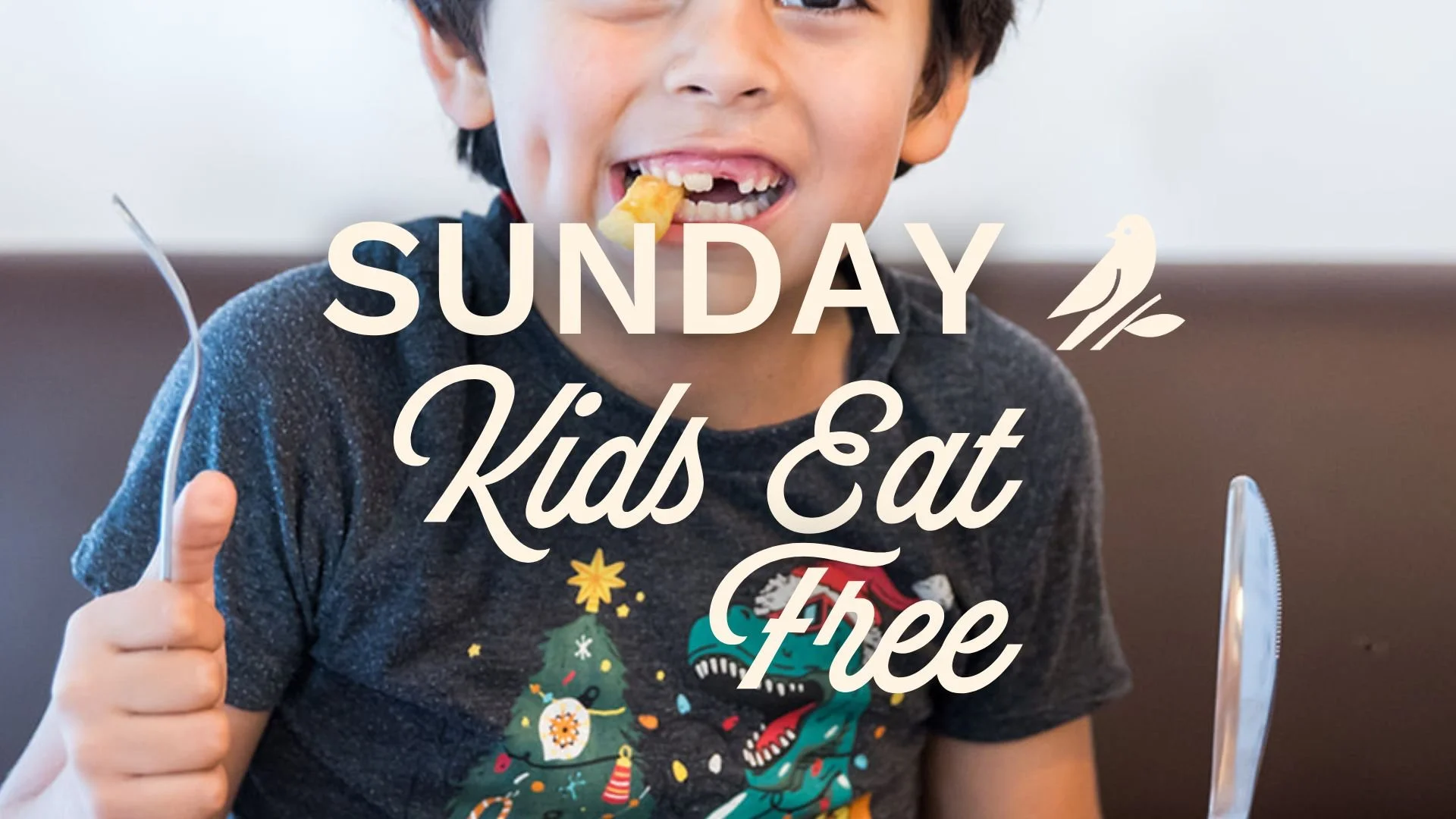 Pub & Bistro in The Hunter Valley - Bellbird Hotel - Est. 1914