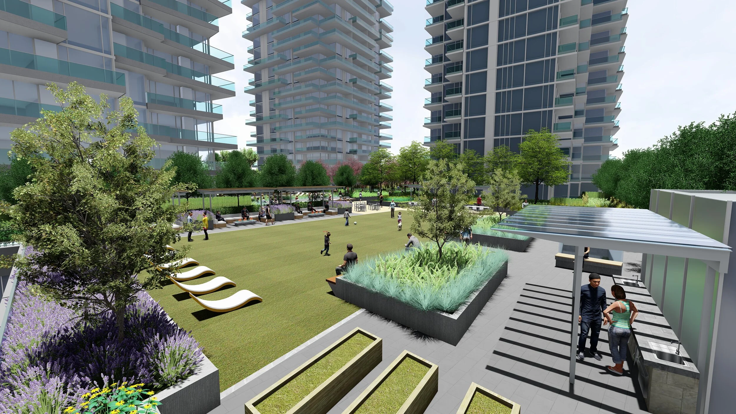 Pinetree Way — LOCI Landscape Architecture