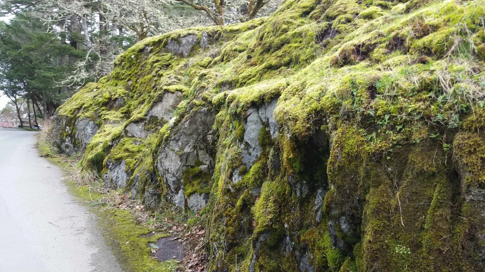 Fort Rodd Hill — LOCI